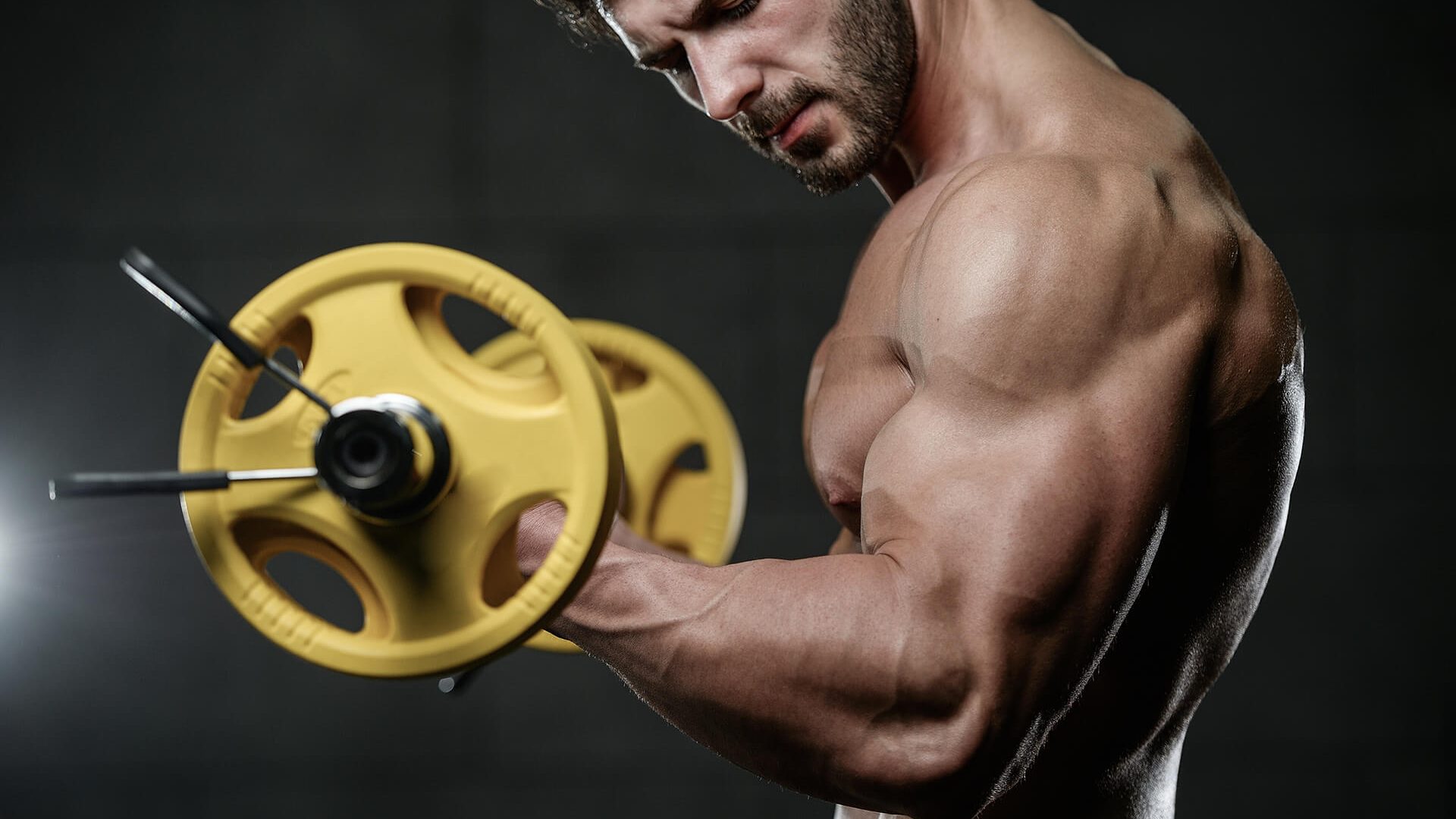 Trainingsplan Masseaufbau | Muskelmacher Shop Magazin