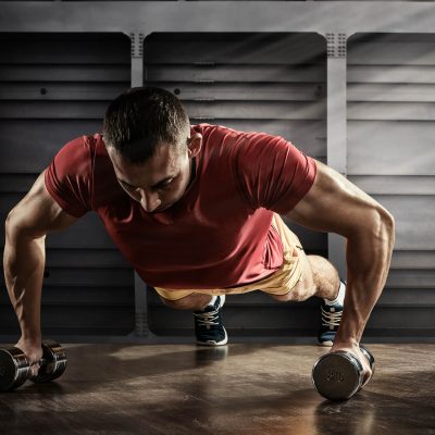 Muskelmasse: welchen Muskelanteil sollte ich haben? | Muskelmacher-Shop ...